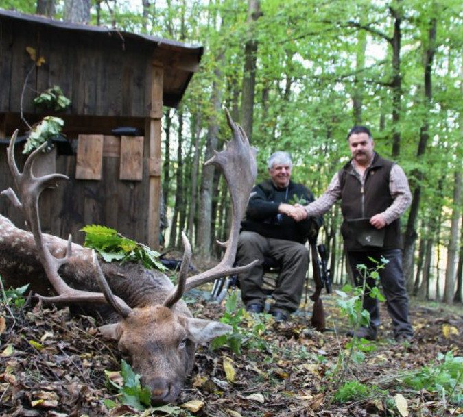 Wheelchair Hunting in Europe | P&P European Hunting Services